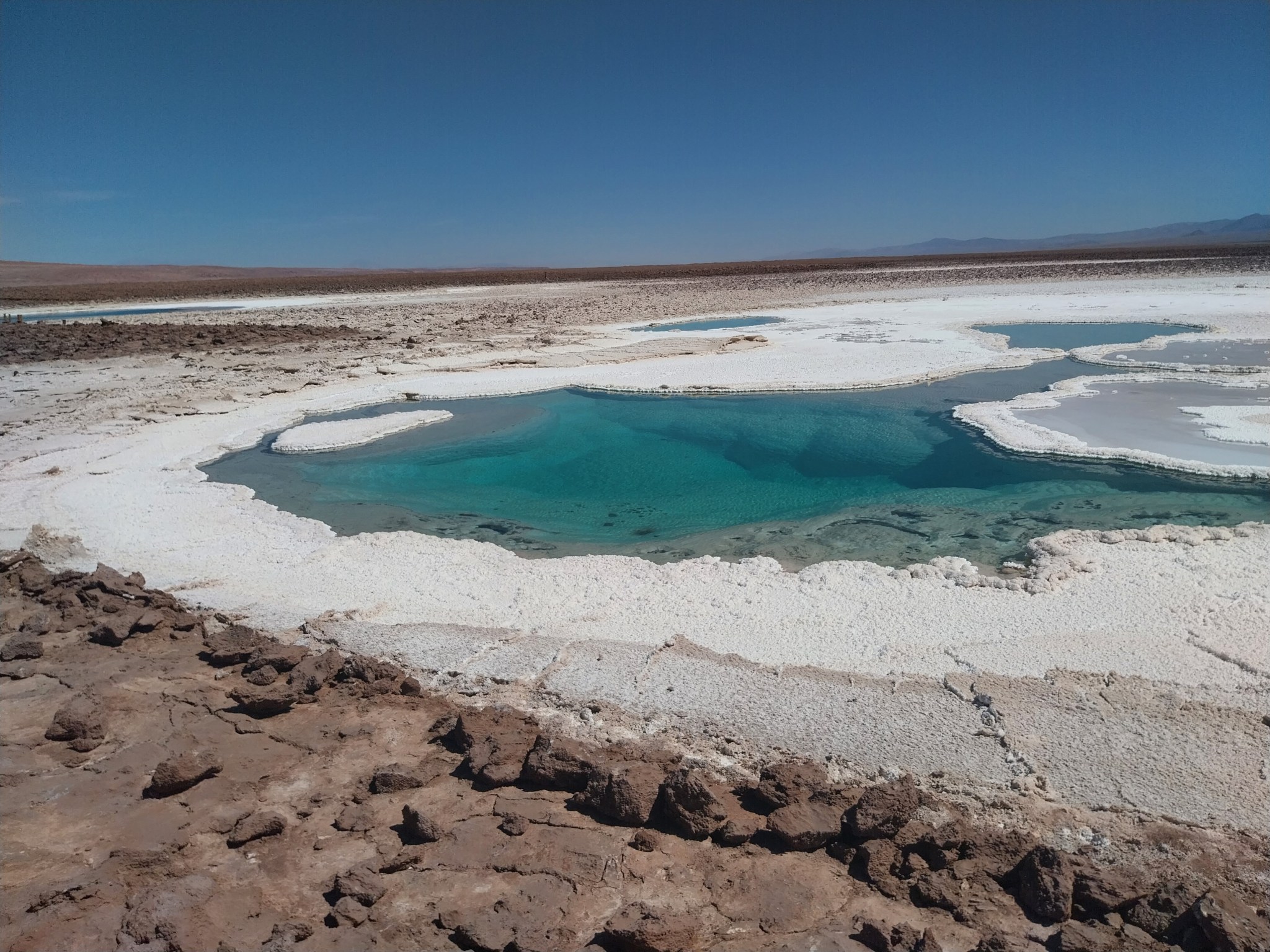 Viagem a São Pedro do Atacama-Chile-2023-Dia 5-Lagunas Baltinache ...